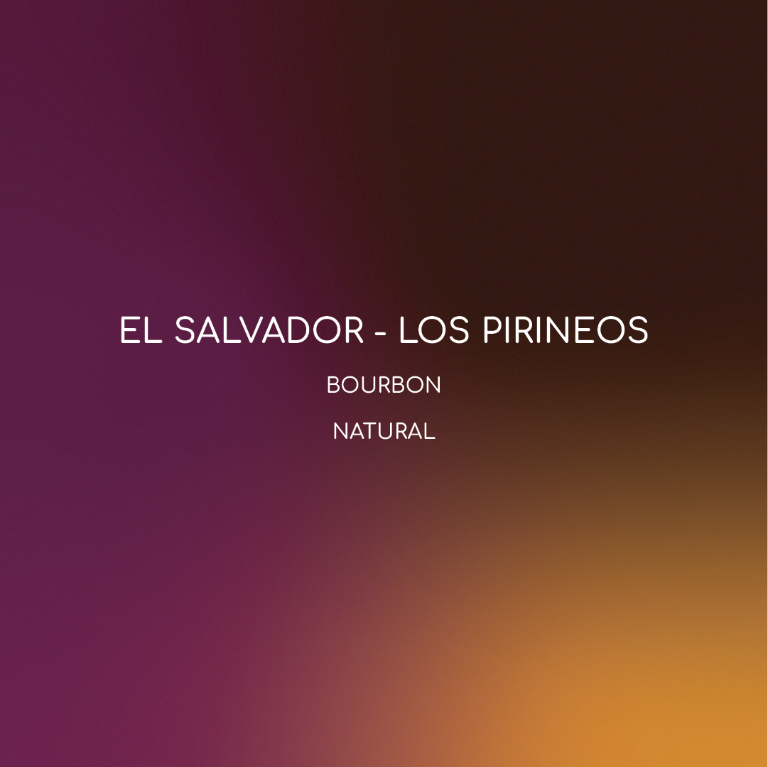 INLIGHT COFFEE ROASTER | محمصة انلايت